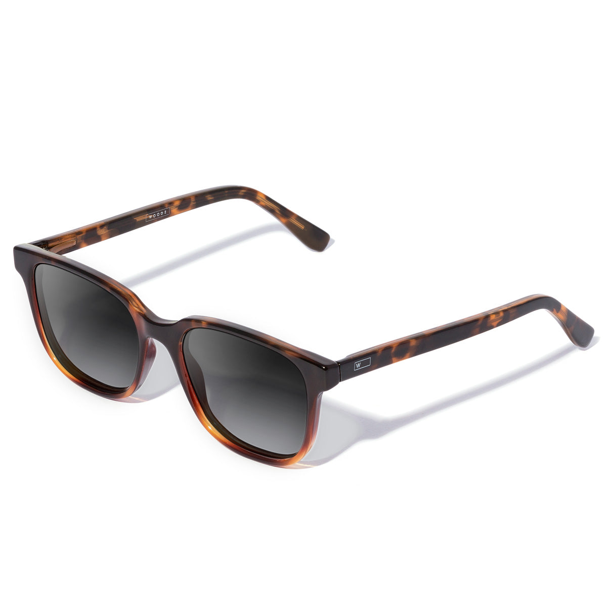 Óculos de Sol todo de Acetato | Woodz Carter Tortoise Brilho