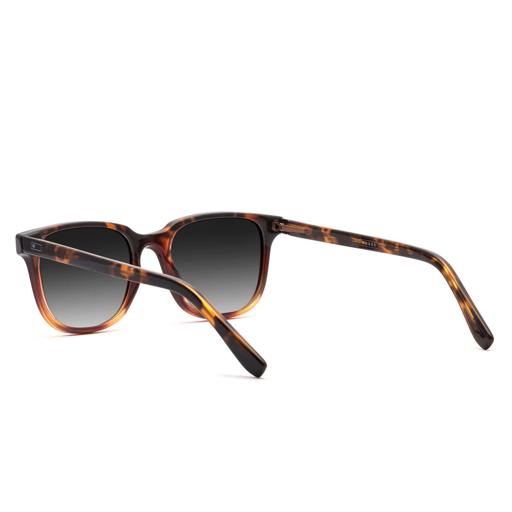 Óculos de Sol todo de Acetato | Woodz Carter Tortoise Brilho