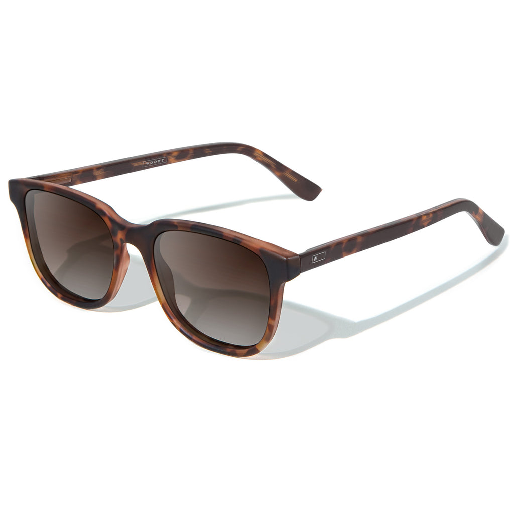 Óculos de Sol todo de Acetato | Woodz Carter Tortoise Fosco